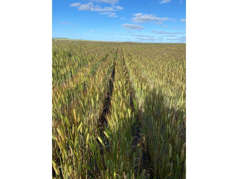 Hiview Steele Road, Pingrup, WA 6343 - Property Details