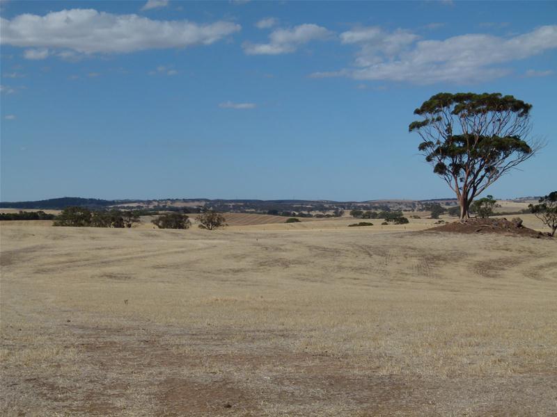 102 Glen Turret Road, Truro, SA 5356 - Property Details