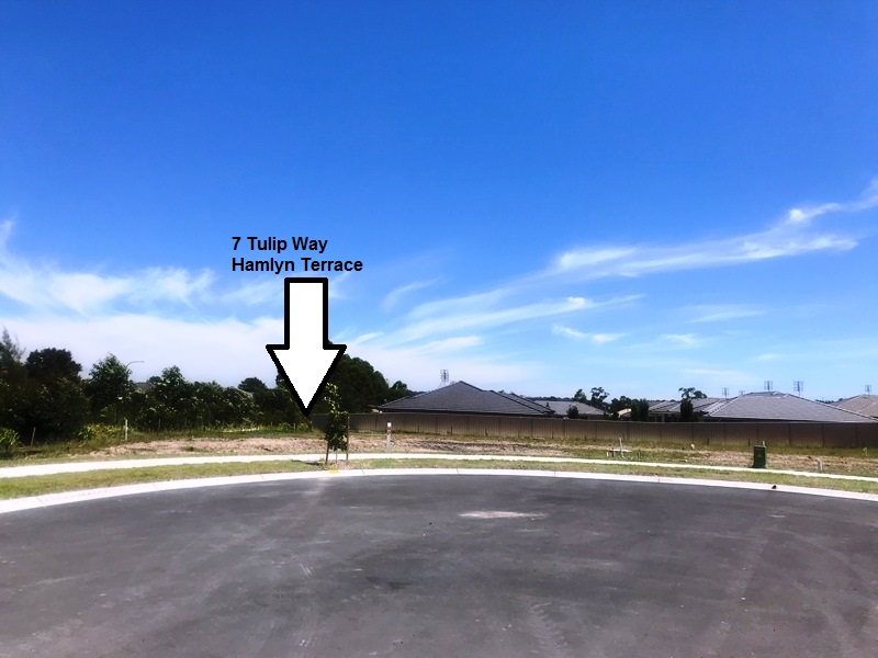 7 Tulip Way, Hamlyn Terrace, NSW 2259 - realestate.com.au