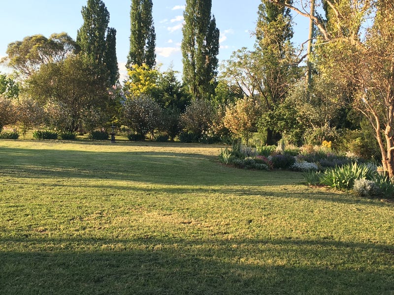 440 Murringo Gap Road, Murringo, NSW 2586 - realestate.com.au