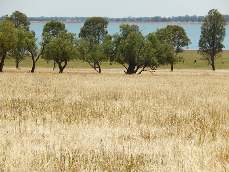 Cnr Orr Road & Channel Inlet Road, Rushworth, Vic 3612 - Property Details