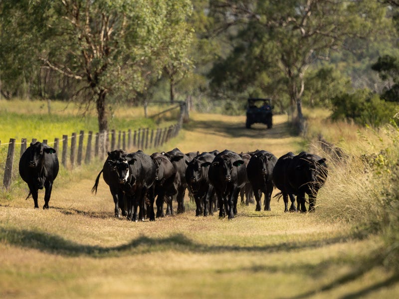 "Hi-View" 299 Hudson Road, Felton, Qld 4358 - Property Details