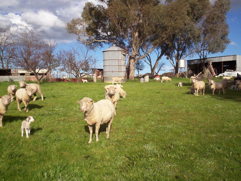 57 Mahers, Cookardinia, NSW 2650 - Property Details