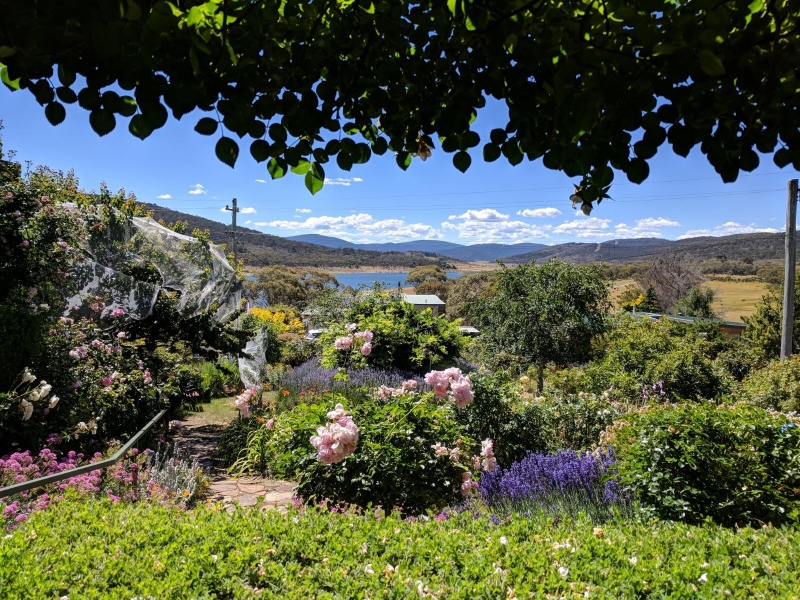 17 Headland Road, Anglers Reach, NSW 2629 - realestate.com.au