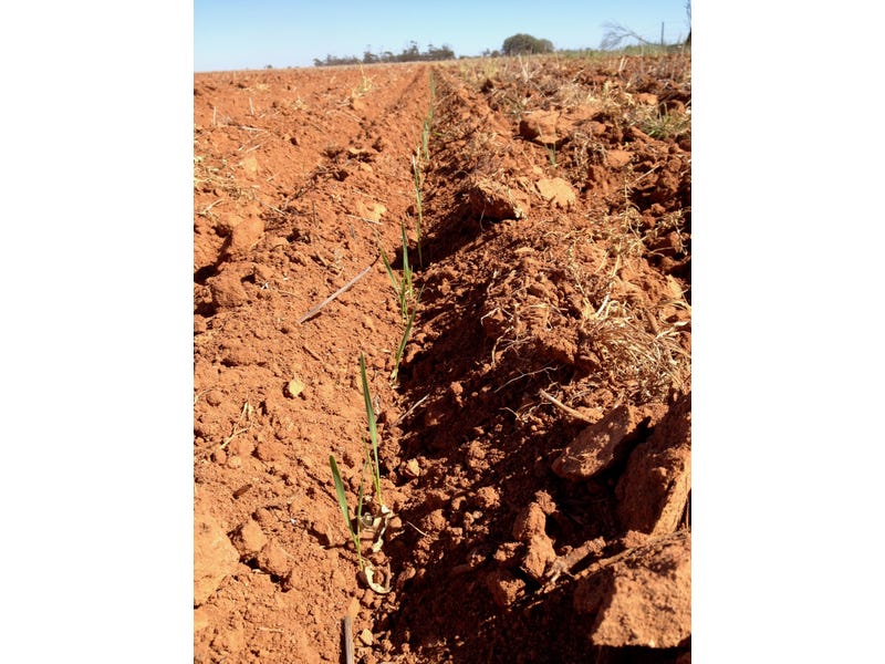 2421 GOODLANDS ROAD, Kalannie, WA 6468 - Property Details