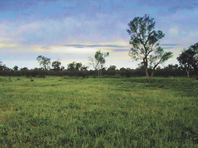 Property 700044458, Jundah, Qld 4736 - Property Details