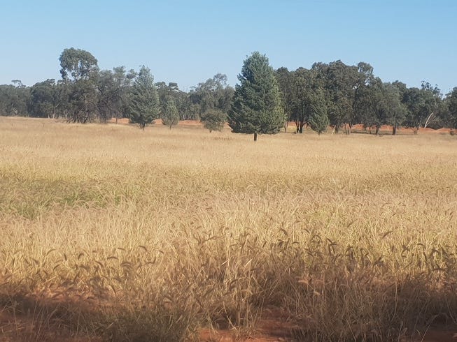 'Bandon Park', 135 Albany Downs Road, Mitchell, Qld 4465 - Property Details