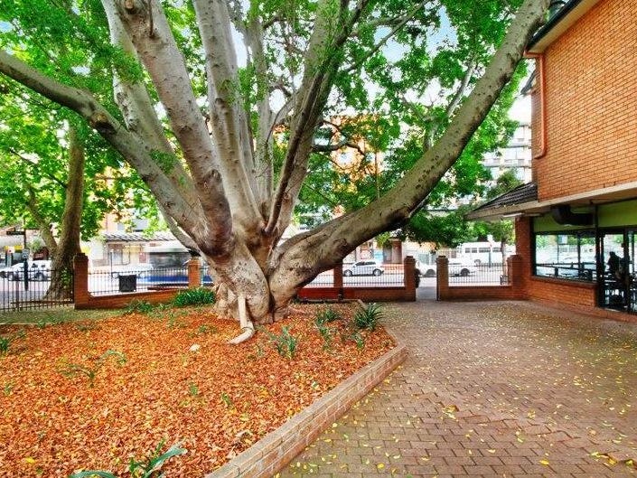 62/2 Goodlet Street, Surry Hills, NSW 2010 - realestate.com.au