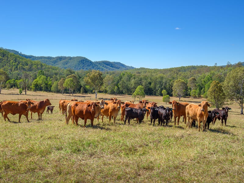 364 Upper Thornside Road, Widgee, QLD 4570 - realestate.com.au