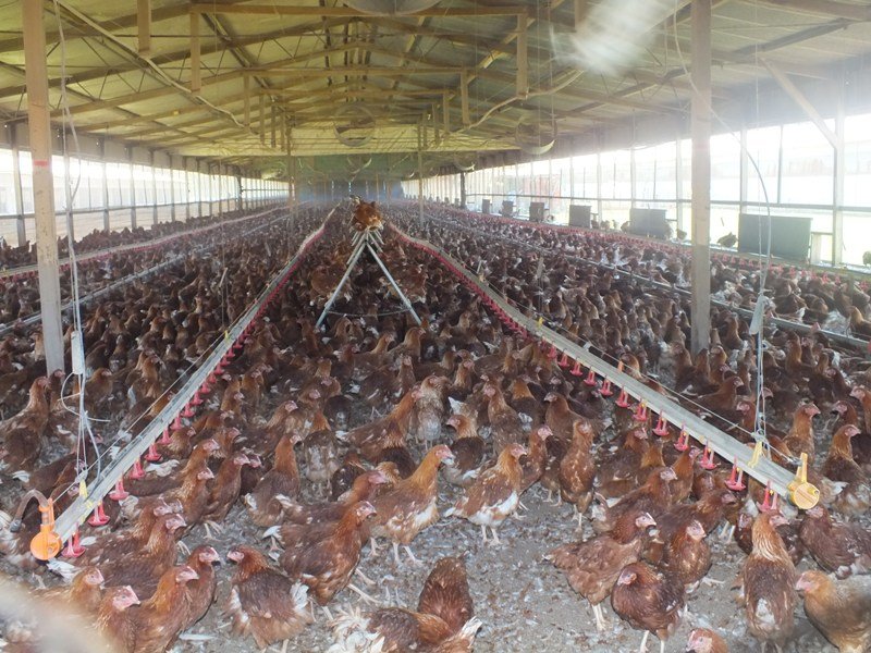 195 Lemon Tree Passage Road, Salt Ash, NSW 2318 - realestate.com.au