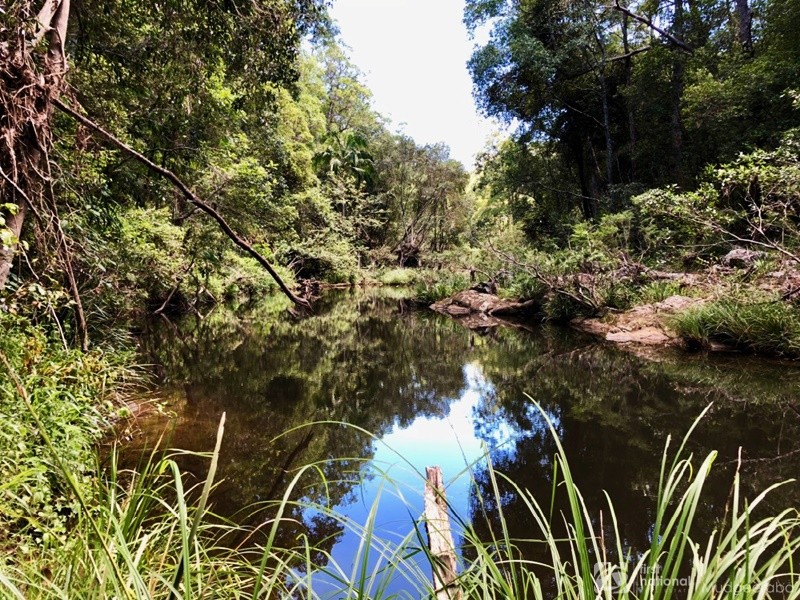 141 Staghorn Drive, Austinville, QLD 4213 - realestate.com.au