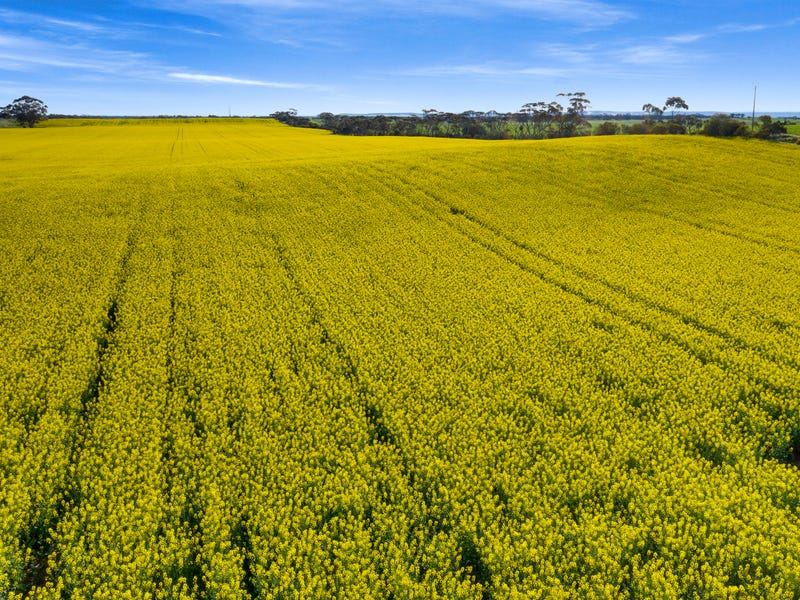 'Standpipe' Wanappe Road, Halbury, SA 5461 - Property Details