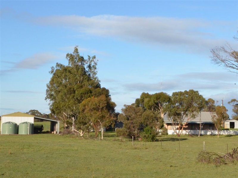 4054 Mallee Highway, Peake, SA 5301 - Property Details