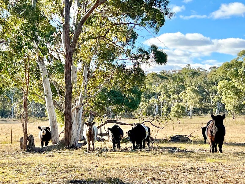 3814 Oallen Ford Road, Windellama, NSW 2580 - Property Details