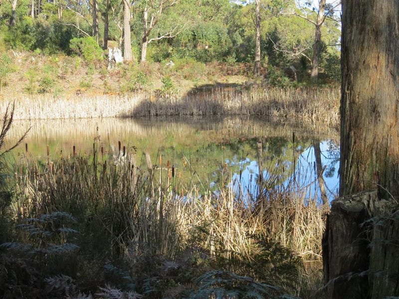 Lot 1 North Pole Road, Nook, Tas 7306 - Property Details