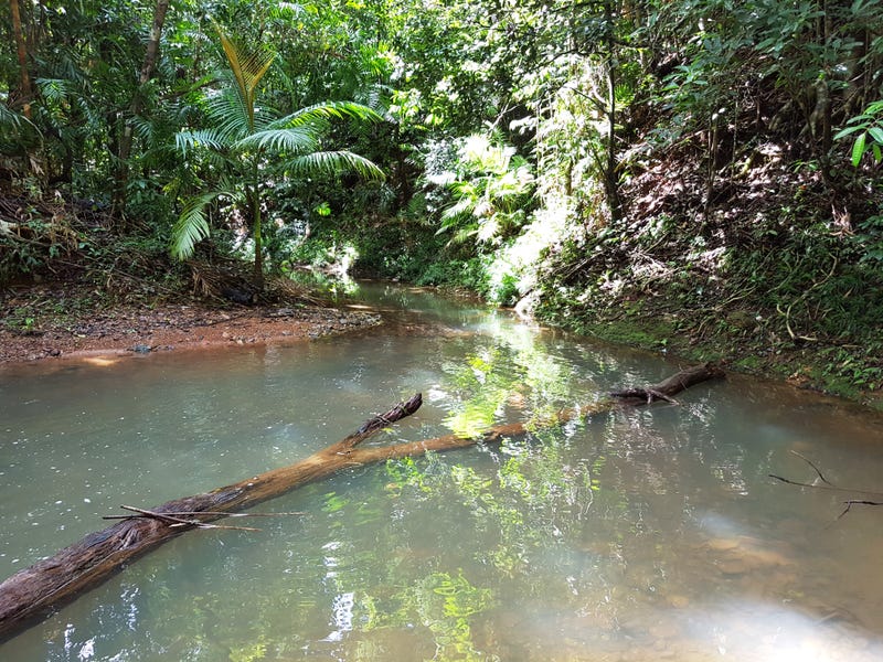 60 Silver Ash Road, Daintree, Qld 4873 - Property Details