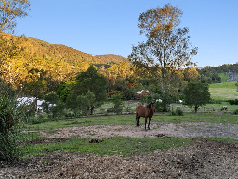 Real Estate & Property for Sale in Noosa, QLD (+2 locations ...