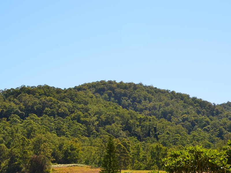 1964 Nowendoc Road, Mount George, NSW 2424 - realestate.com.au