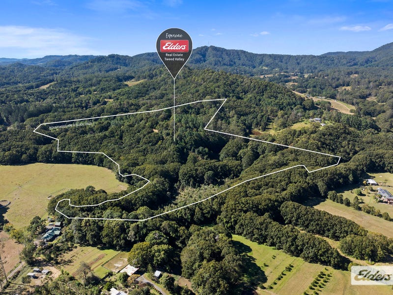 6917 Tweed Valley Way, Dunbible, NSW 2484 - House for Sale - realestate ...