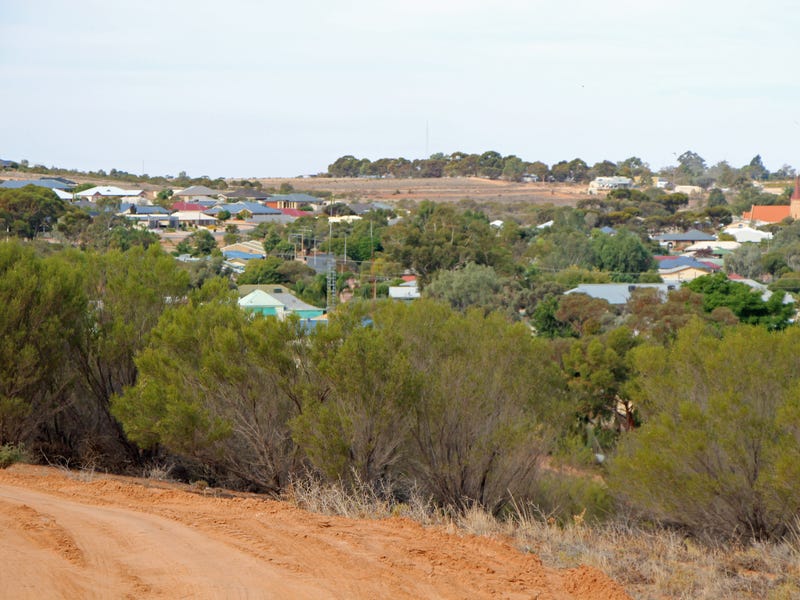 19 Murtho Road, Paringa, SA 5340 - realestate.com.au