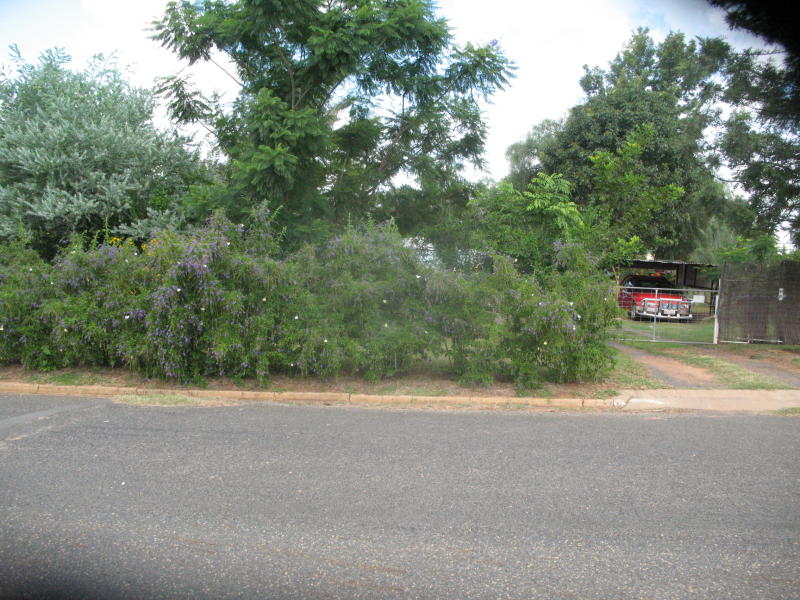 47 Milton Street, Alpha, QLD 4724 - realestate.com.au