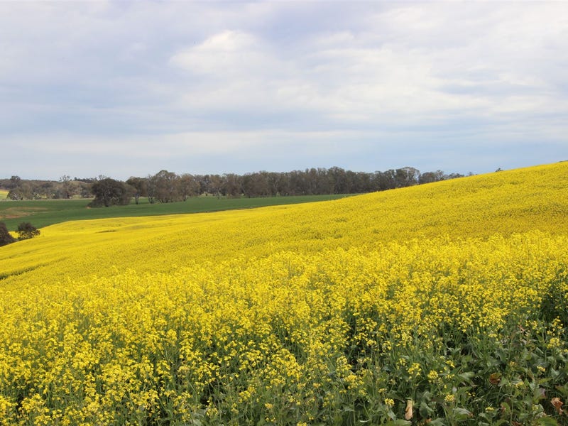 . Hyde Park Browns Road & Sunraysia Highway, Lexton, Vic 3352 ...