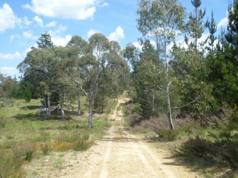 Lot 33 Nerriga Road, Nerriga, NSW 2622 - Property Details