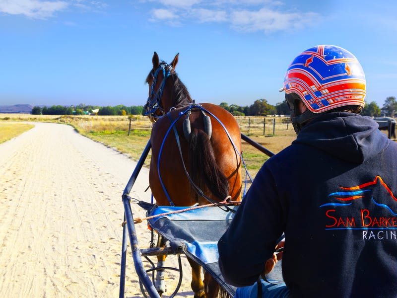 Real Estate & Property for Sale in Ballarat - Greater Region, VIC (+2 ...