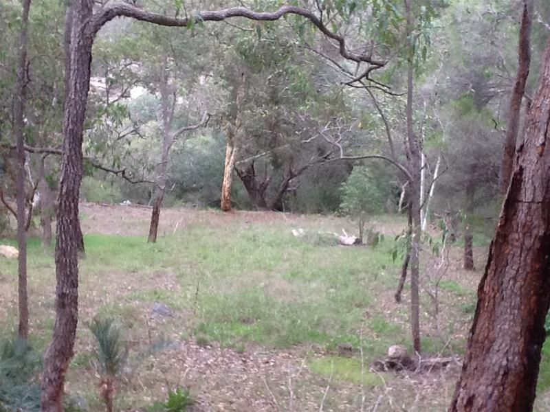 42 Thompson Road, Roleystone, WA 6111 - realestate.com.au