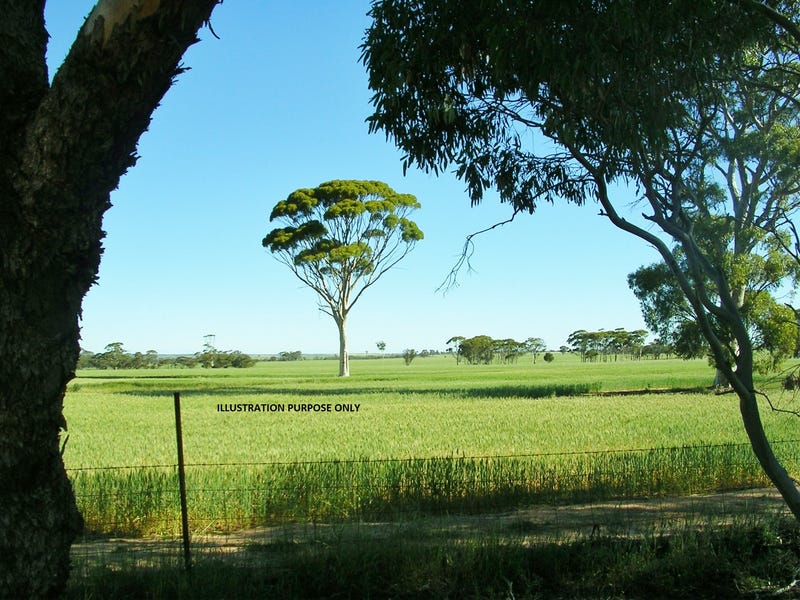Lot 129 Wyalkatchem-Koorda Rd, Koorda, WA 6475 - Property Details