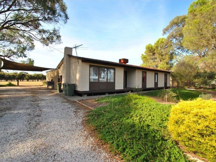 43 Willows Road, Stockwell, SA 5355 - realestate.com.au