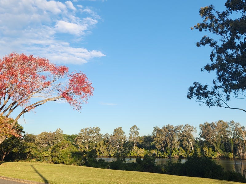 17 Esplanade, Yeronga, Qld 4104 - Property Details