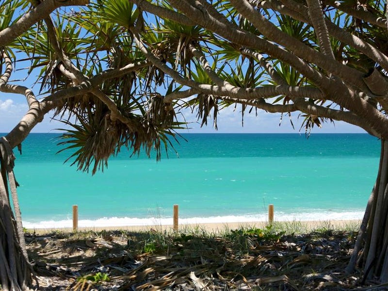 11 Oceanfront Drive, Sapphire Beach, NSW 2450 - realestate.com.au