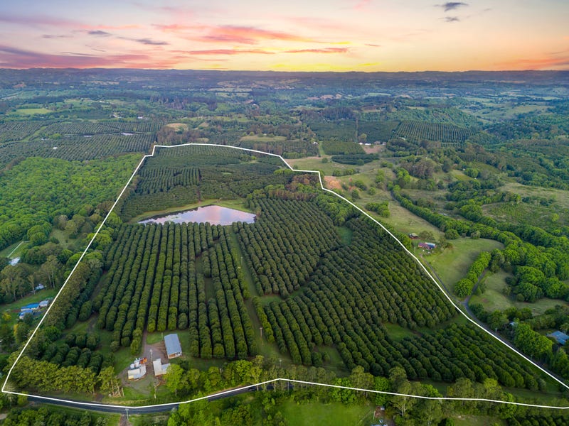 1594 Dunoon Road, Dunoon, NSW 2480 - realestate.com.au