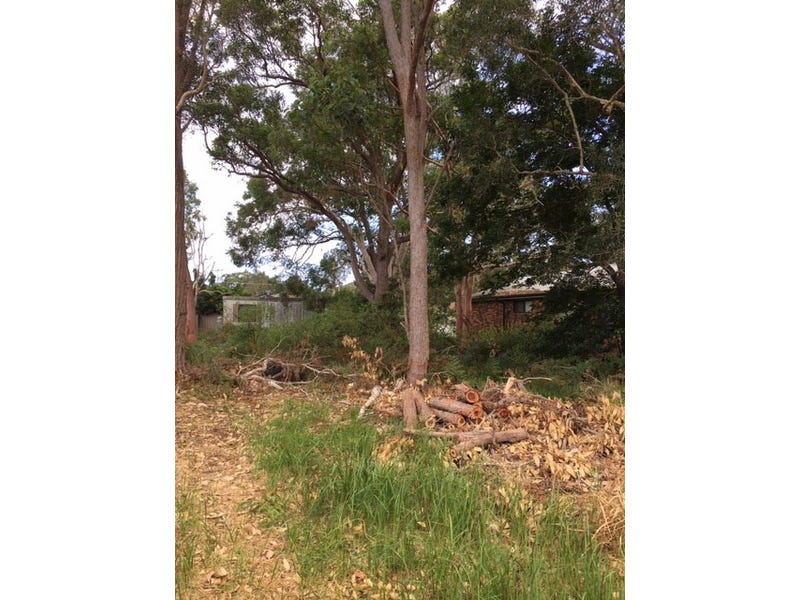 21 Torpey Avenue, Lemon Tree Passage, NSW 2319 - realestate.com.au