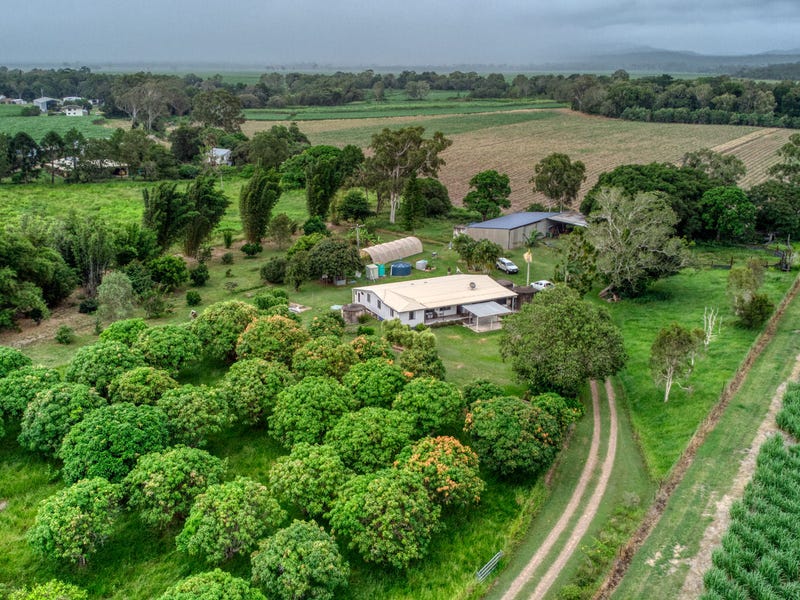 124 Notch Point Road, Ilbilbie, QLD 4738 - realestate.com.au