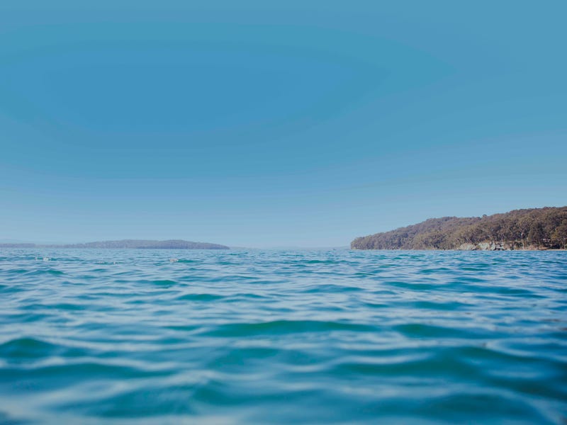 11 Shoreside Row, Murrays Beach, NSW 2281 - realestate.com.au