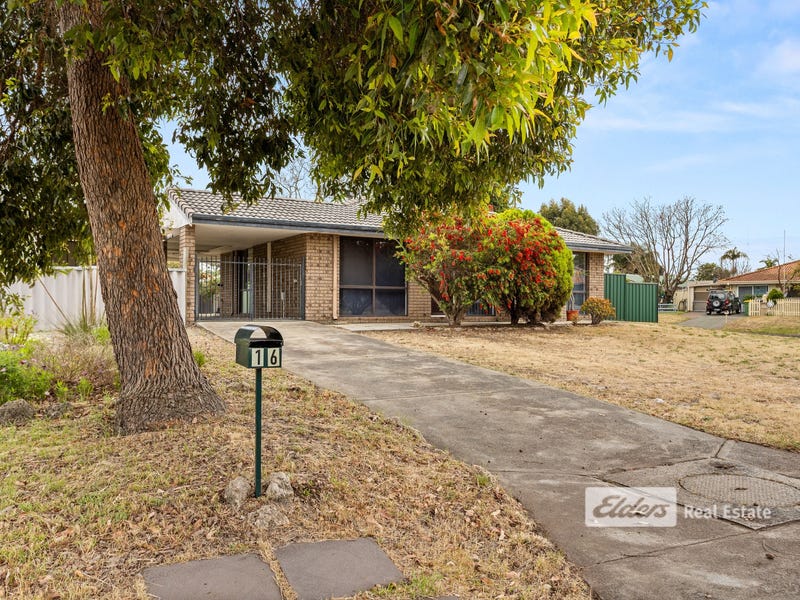 16 Chapple Drive, Australind, WA 6233 - House for Rent - realestate.com.au