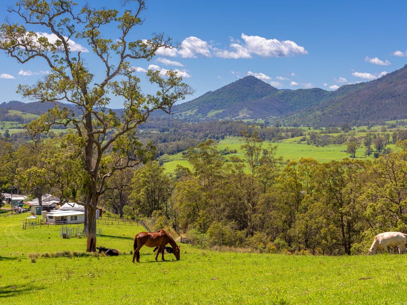 172 Norwood Lane, Mount George, NSW 2424 - realestate.com.au