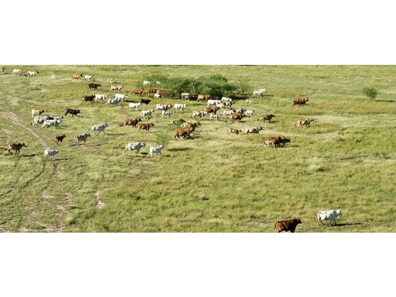 Great Northern Highway, Derby, WA 6728 - Other for Sale - realestate.com.au