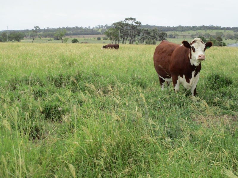 70 Acres |, Peranga, Qld 4352 - Property Details