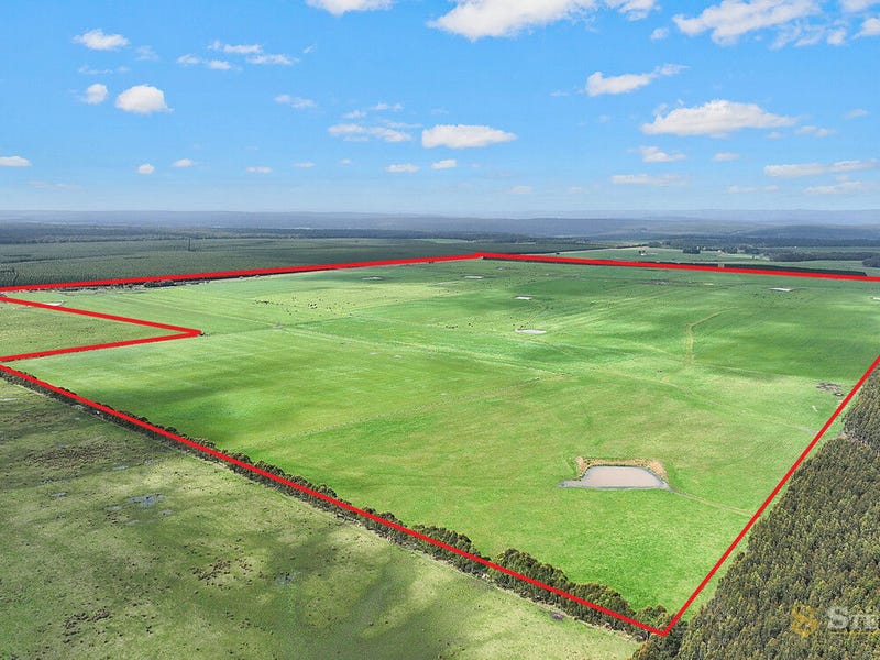 130, 200 & 240 Tin Dish Road, Irrewillipe, Vic 3249 - Property Details