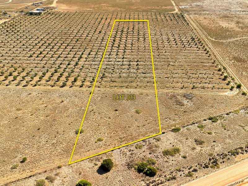 Lot 103 Schutt Road, Dublin, SA 5501 - realestate.com.au