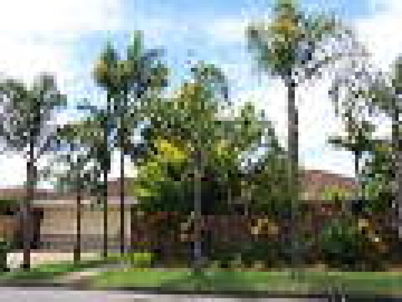 71 Commodore Drive, Surfers Paradise, QLD 4217 - realestate.com.au