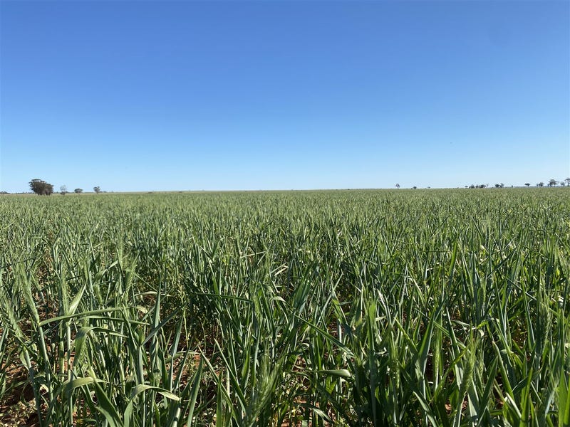 . "South Block", Gabbin, WA 6476 - Property Details