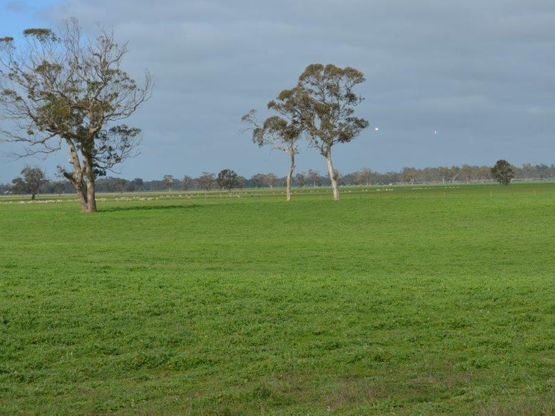 261 Joys Road, Binnum, SA 5262 - Property Details