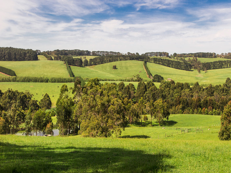 60 Uplands Drive, Main Ridge, VIC 3928 - realestate.com.au