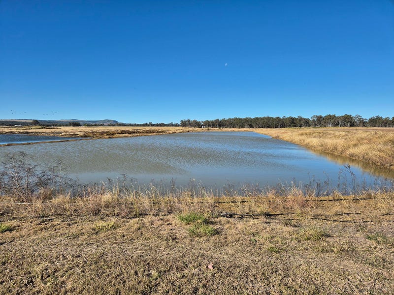 Byee Road, Wheatlands, Qld 4606 - Livestock for Sale - realestate.com.au
