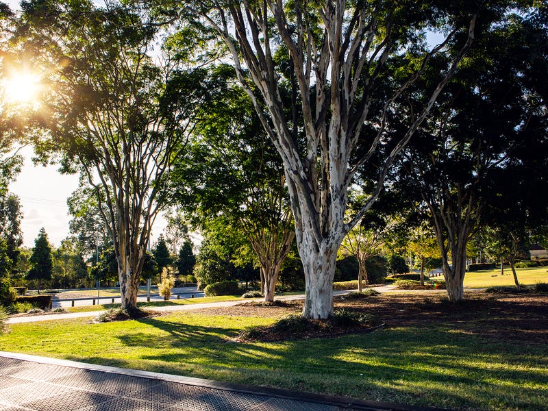 Arise at Rochedale Land Estate at 1 Phoenix Street - realestate.com.au