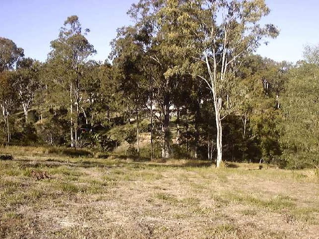 21 Silverleigh Court, Woodhill, QLD 4285 - realestate.com.au